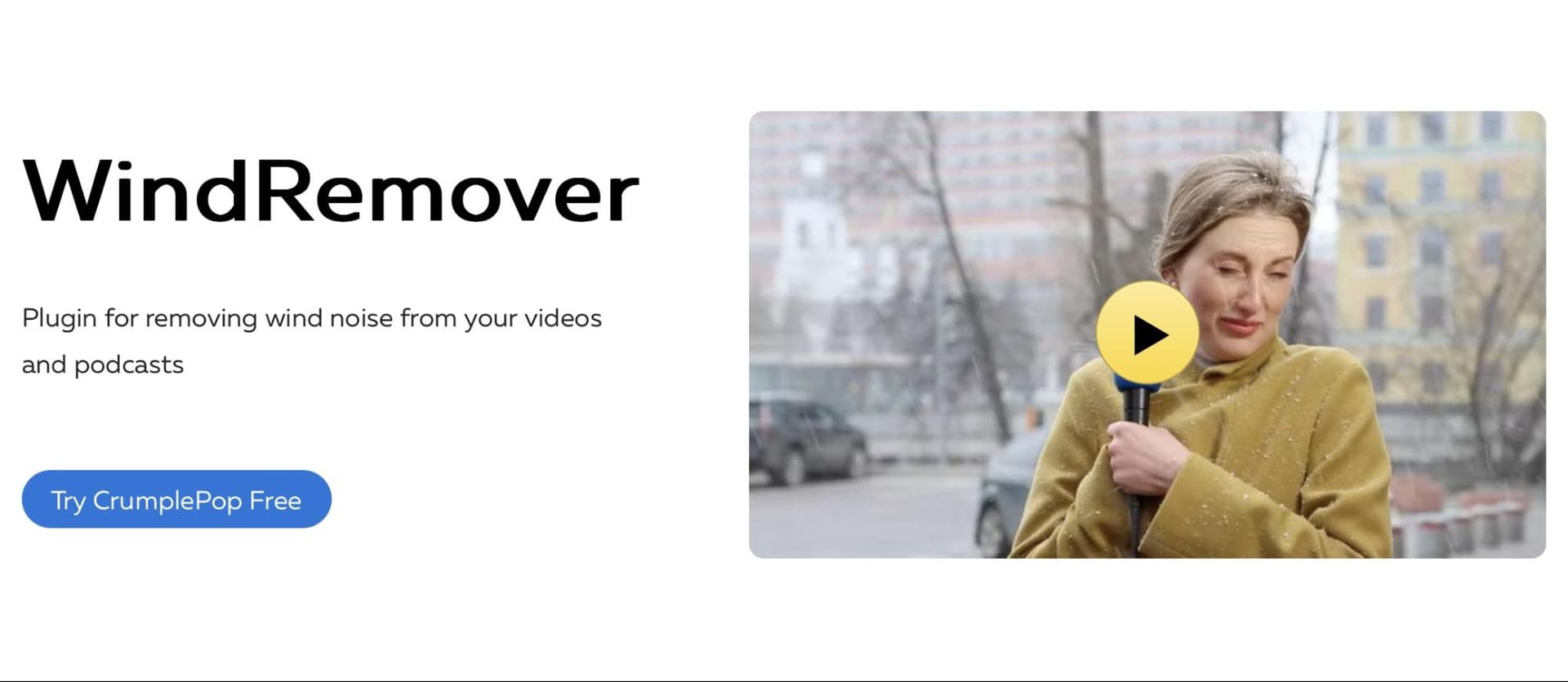 10 Best AI Audio Cleanup Software for Every Use (2025) | Cleanvoice AI